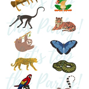 Rainforest Scavenger Hunt, Printable Scavenger Hunt, Rainforest ...