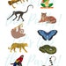 Rainforest Scavenger Hunt, Printable Scavenger Hunt, Rainforest ...