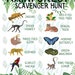 Rainforest Scavenger Hunt, Printable Scavenger Hunt, Rainforest ...