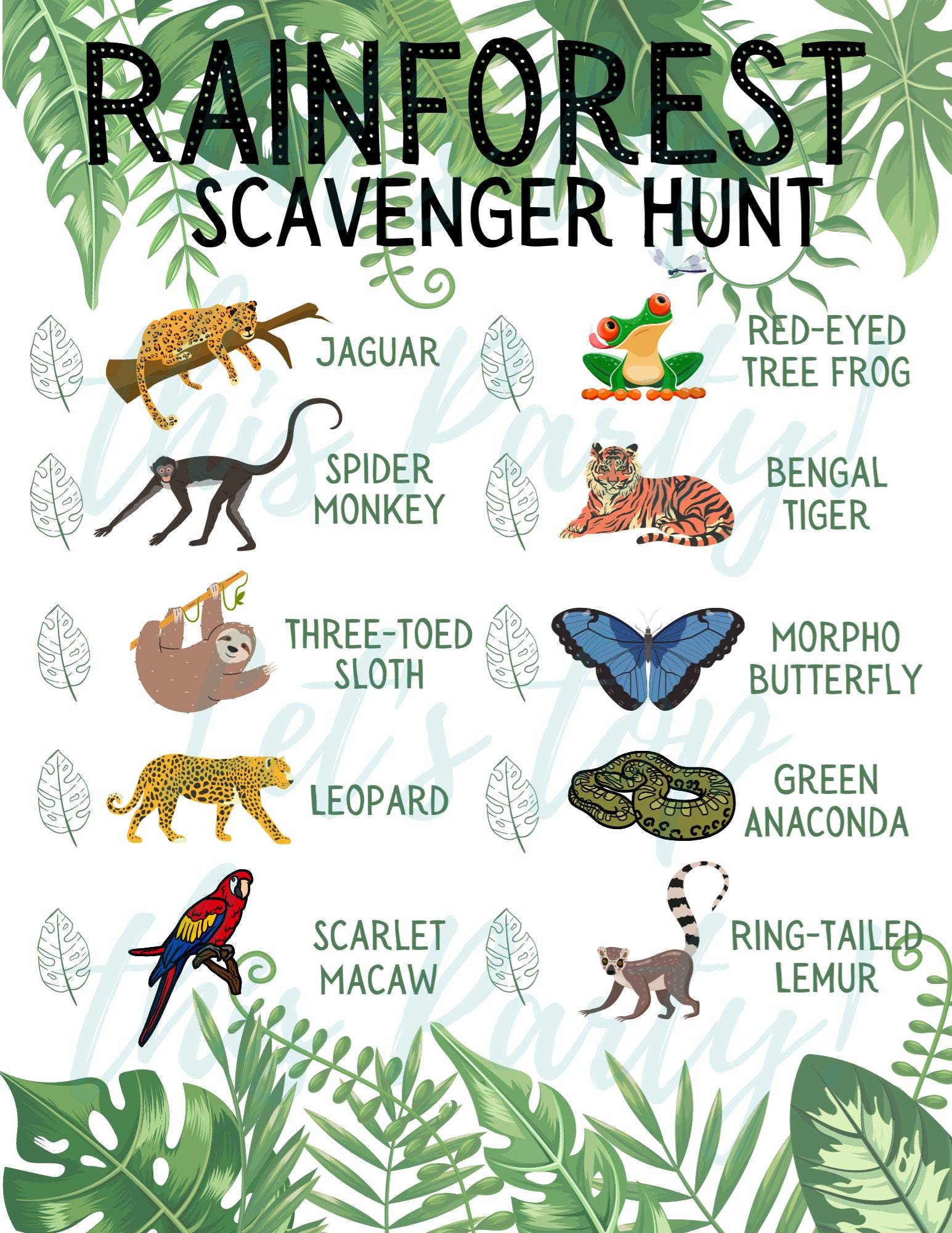 Tropical Rainforest Scavengers