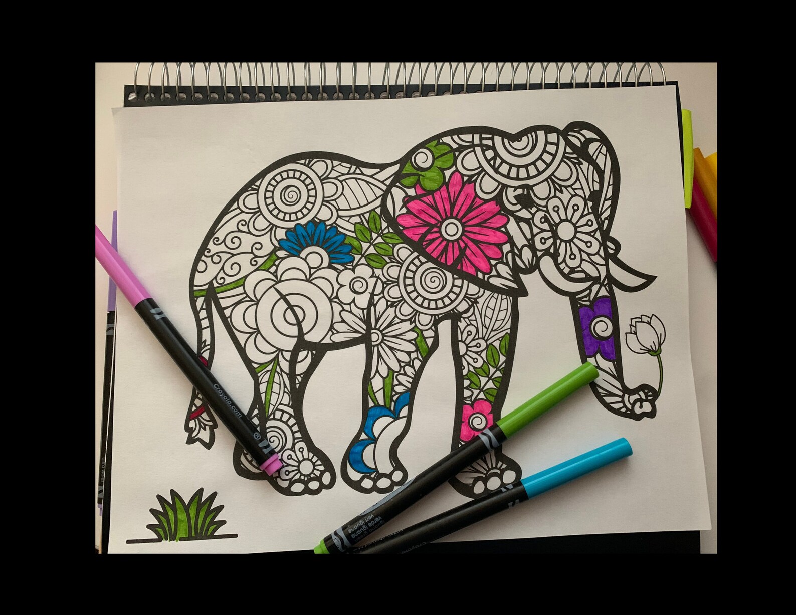 Animal Zentangle Coloring Pages | Etsy