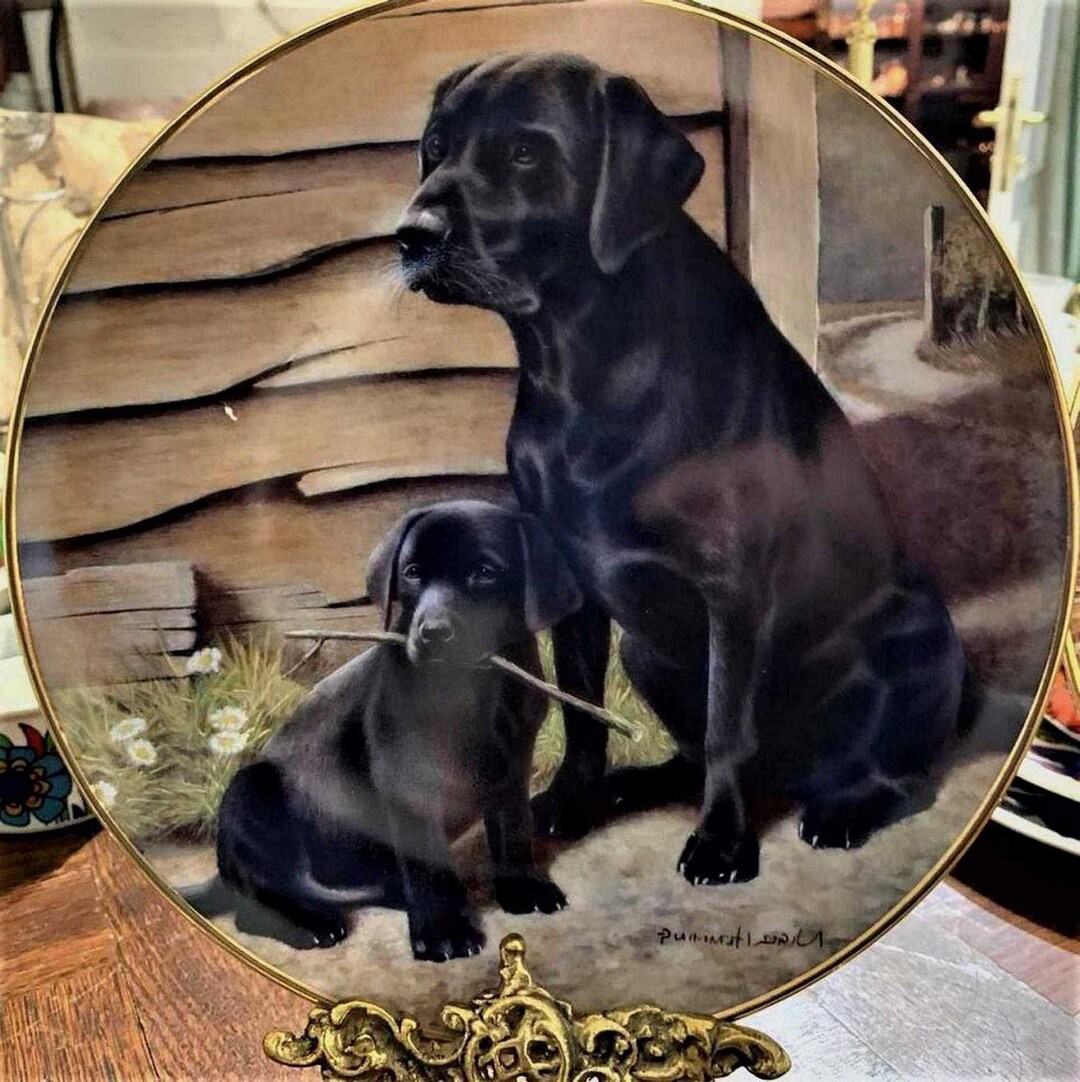 The Lovely Dogs Plate - Etsy