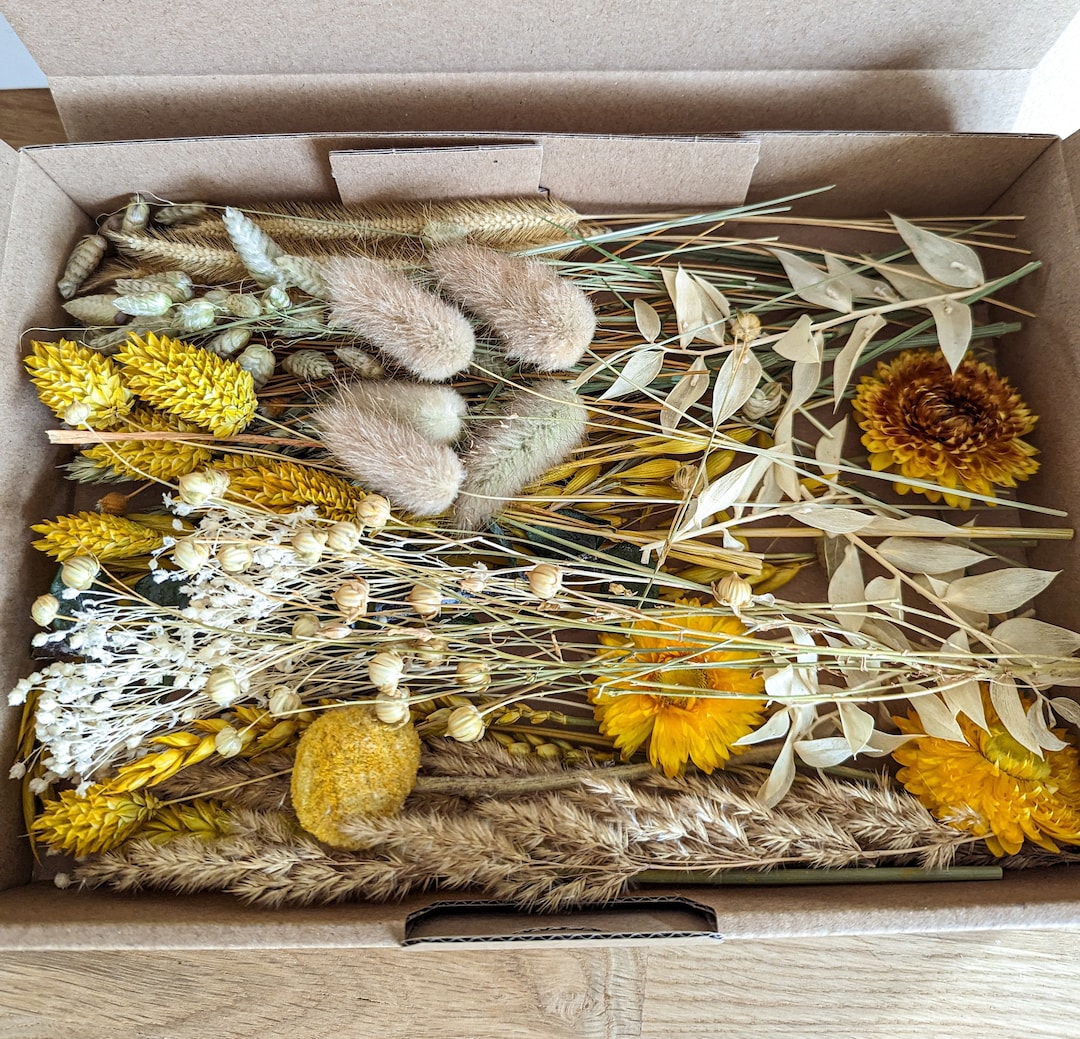 Dried Flower DIY Mix Flower Box Yellow Natural White for Creative ...
