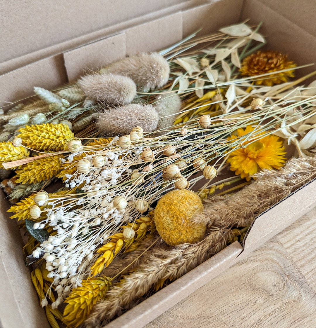 Dried Flowers DIY Mix Flower Box Yellow Natural White for Creative ...
