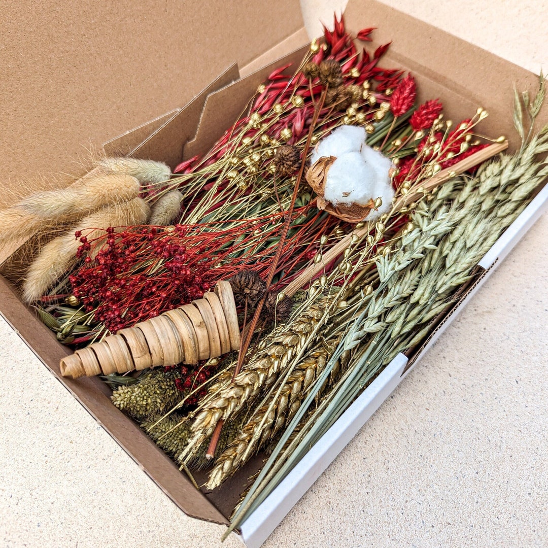 Dried Flowers DIY Mix Box Different Colors and Box Sizes for Projects ...