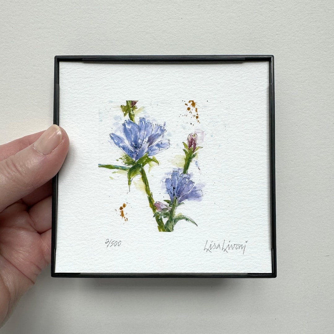Purple Chicory Watercolor Print: Signed Limited Edition Framed Art - Etsy