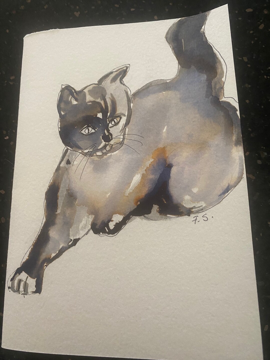 Cat in Pen and Ink Original A5 Size - Etsy