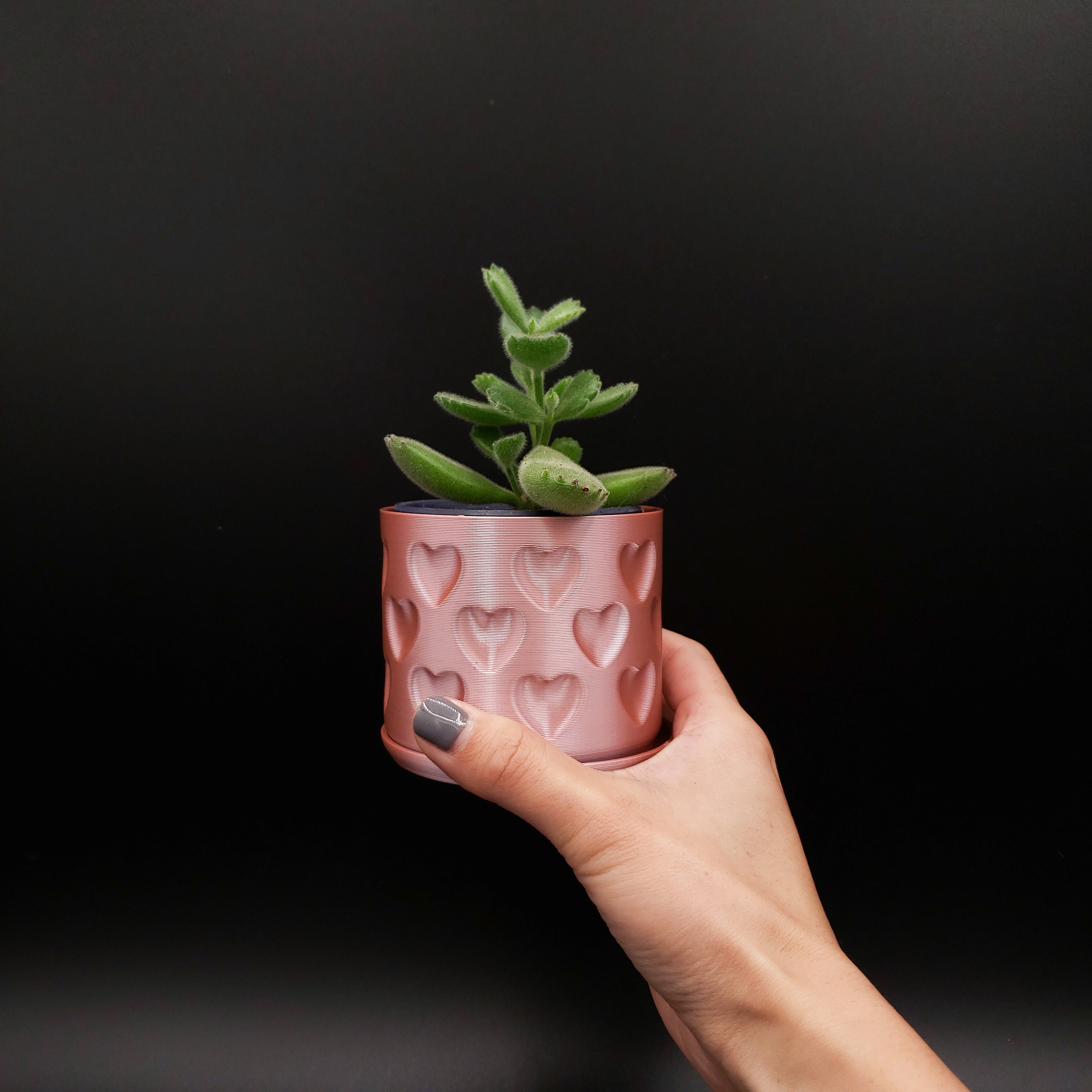 Heart Planter Set of 2 with Trays Valentines Day Planter for | Etsy