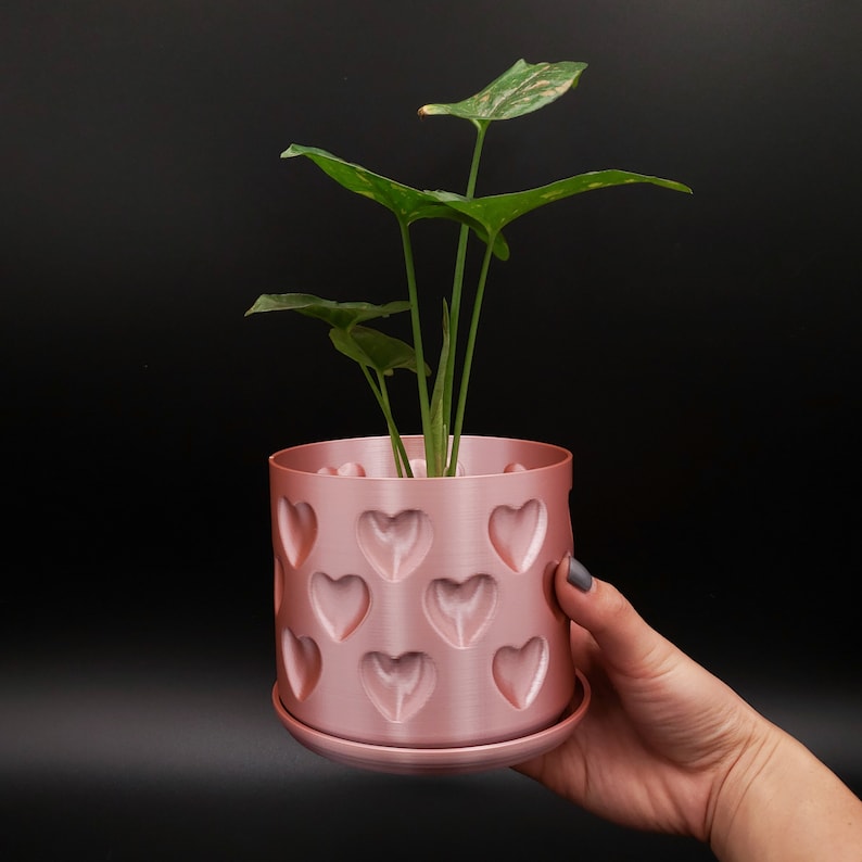 Heart Planter Set of 2 With Trays Valentines Day Planter for | Etsy