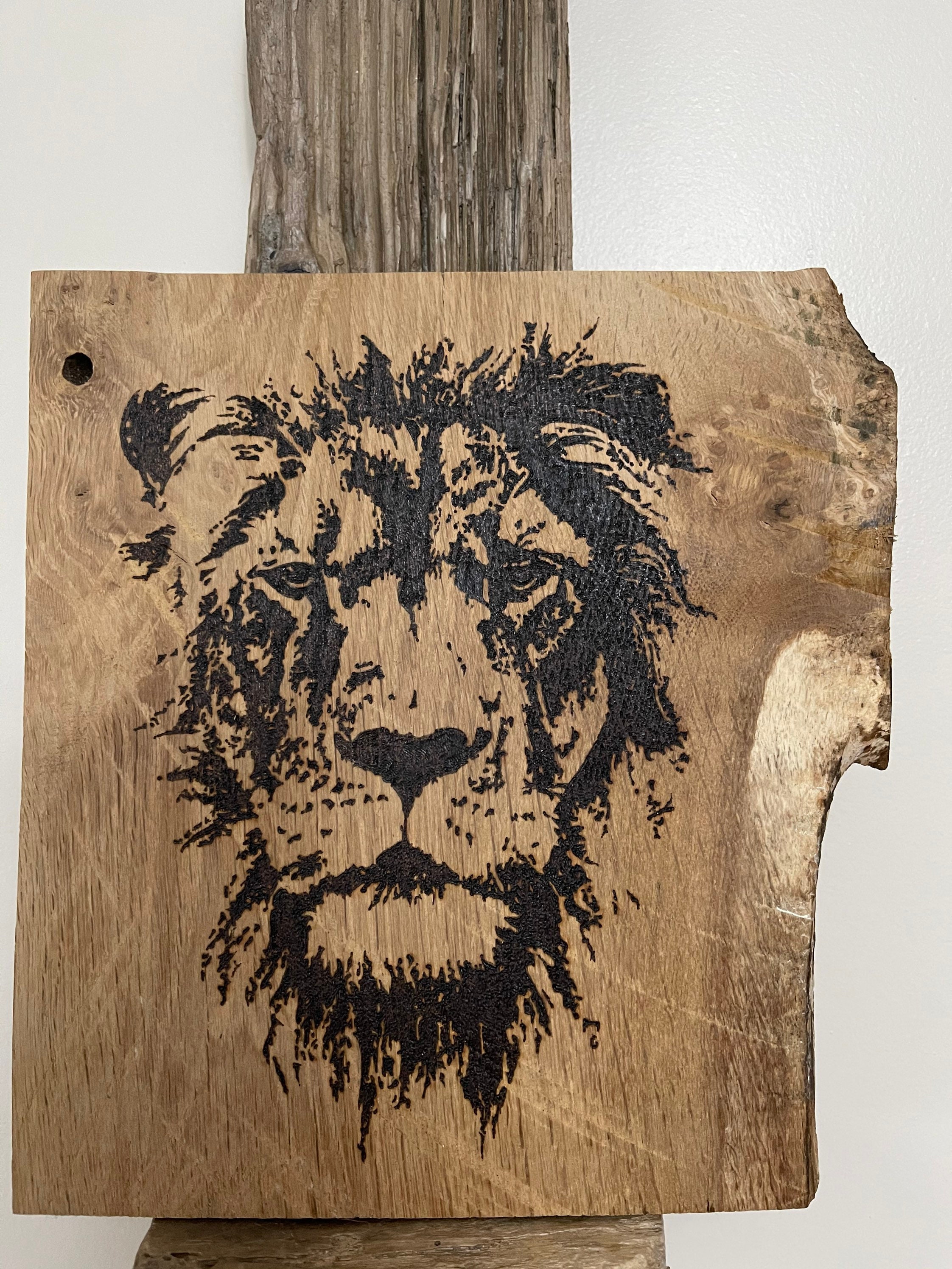 Original Art Pyrography Lion Hand Burned Onto Reclaimed Solid - Etsy