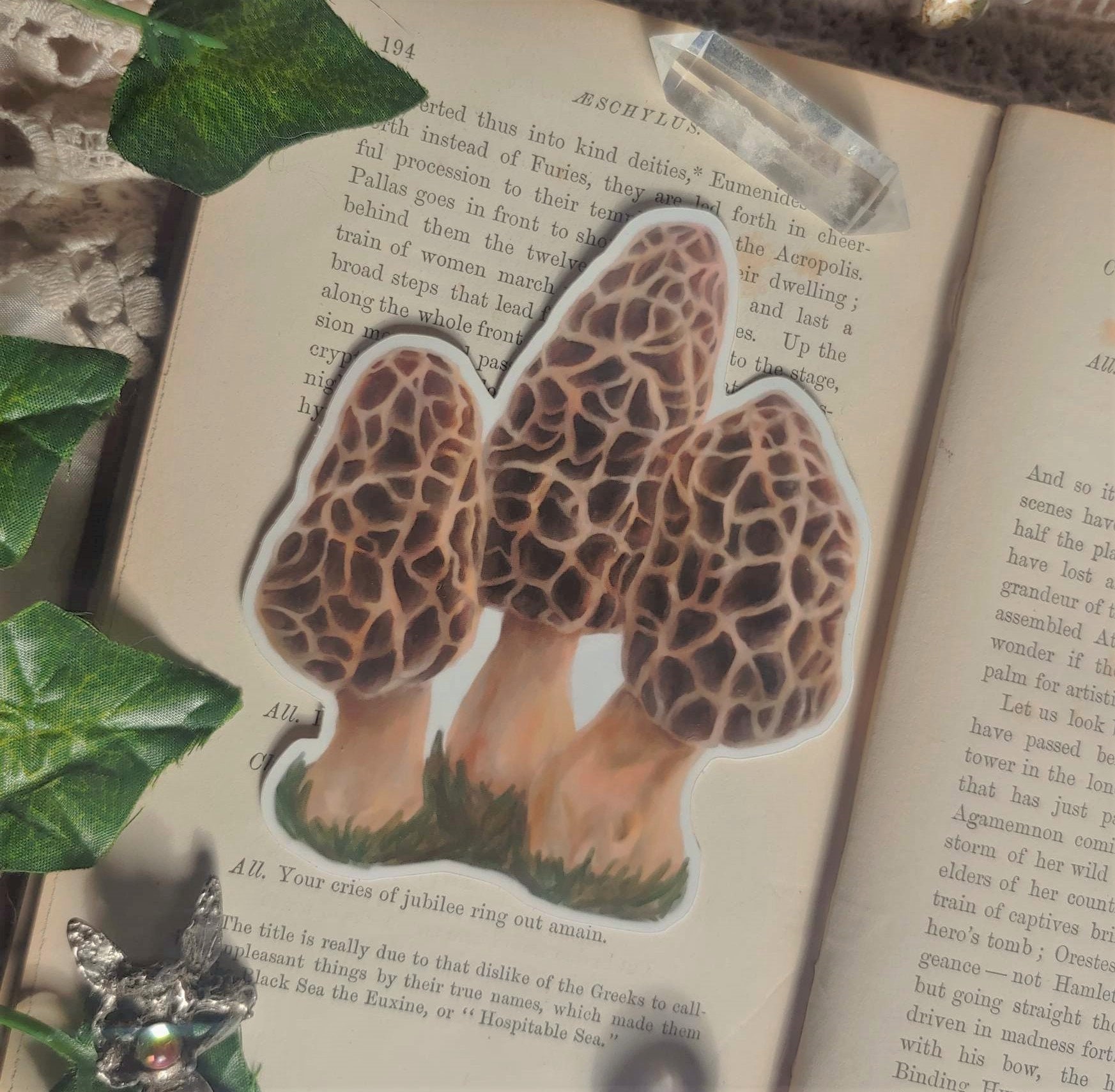 Morel Mushroom Sticker Fungi Sticker for Foragers Nature | Etsy