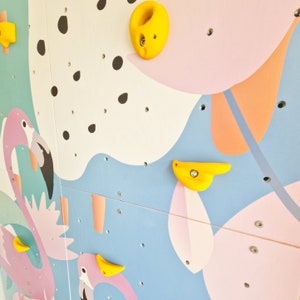 Climbing Wall for Kids, Flamingo Climbing Wall, Wooden Wall For ...