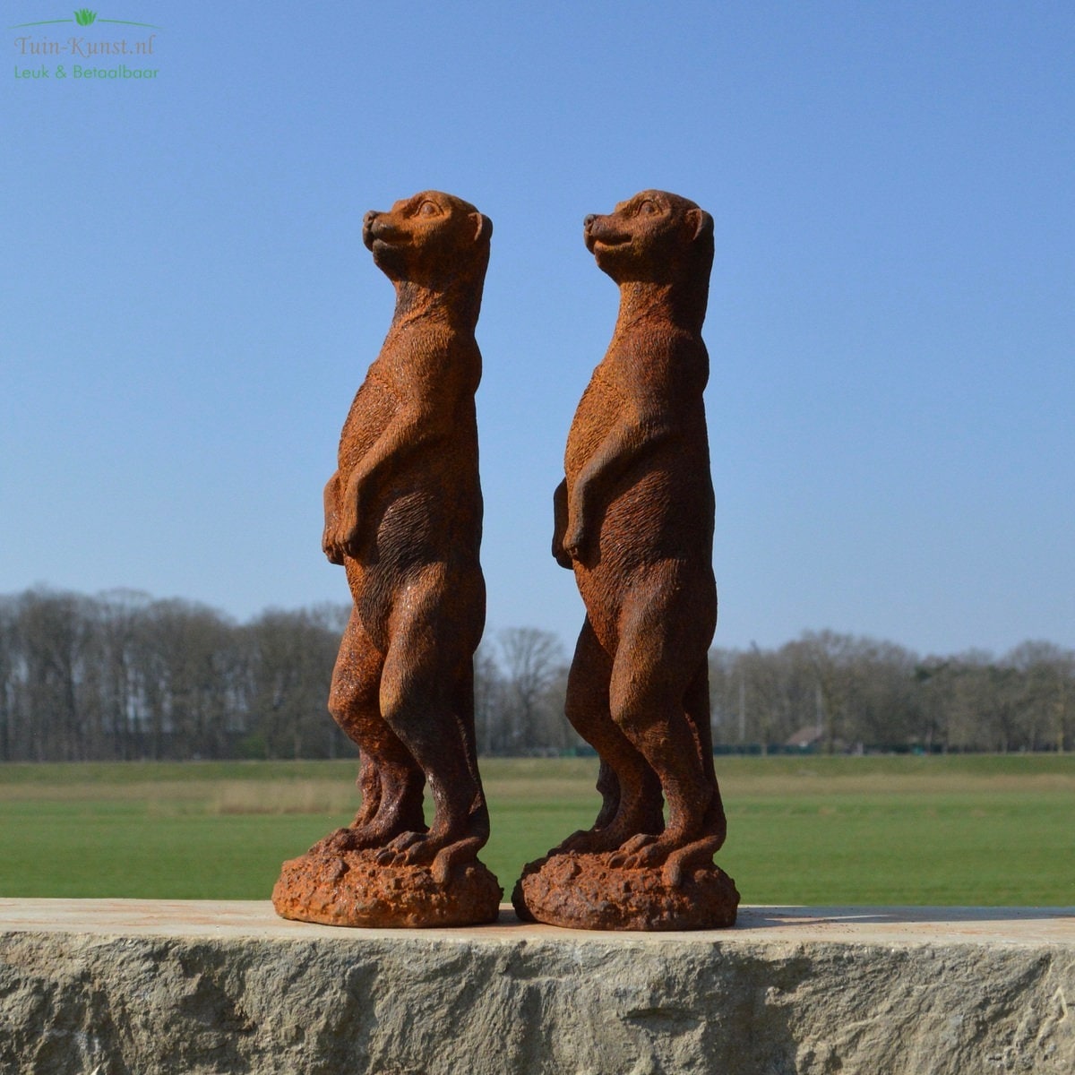 Two Cast Iron Garden Statues of Meerkats - Etsy