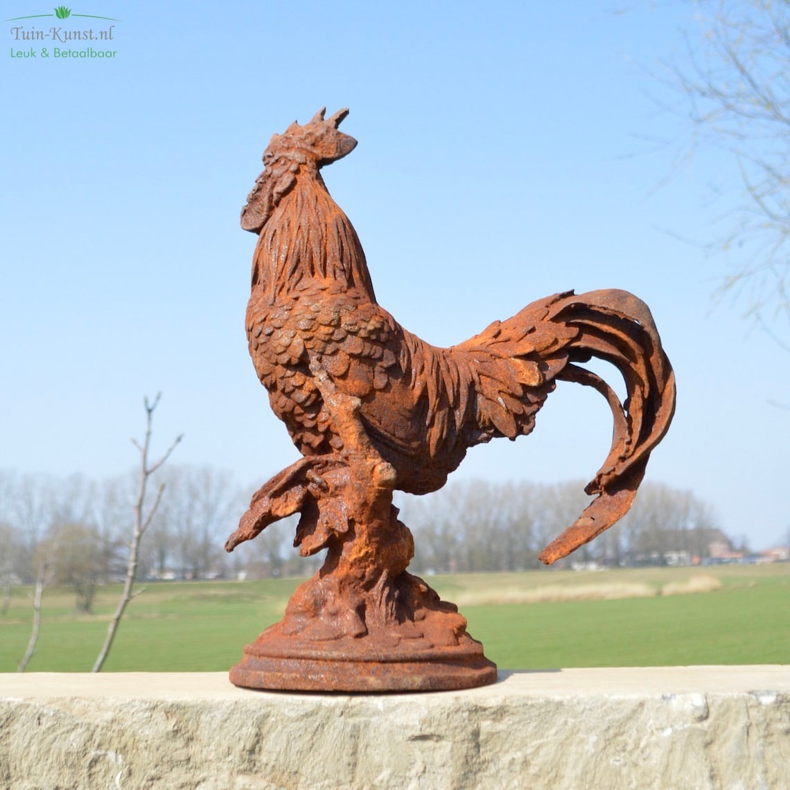Cast Iron Garden Statue of a Rooster - Etsy