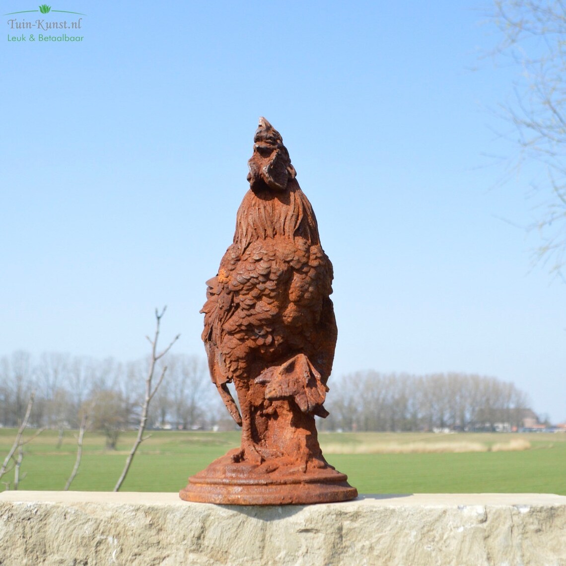 Cast Iron Garden Statue of a Rooster | Etsy