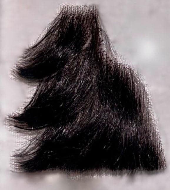Sideburns Hairpiece Lace 1970s | for Professional Elvis Tribute Artists ...
