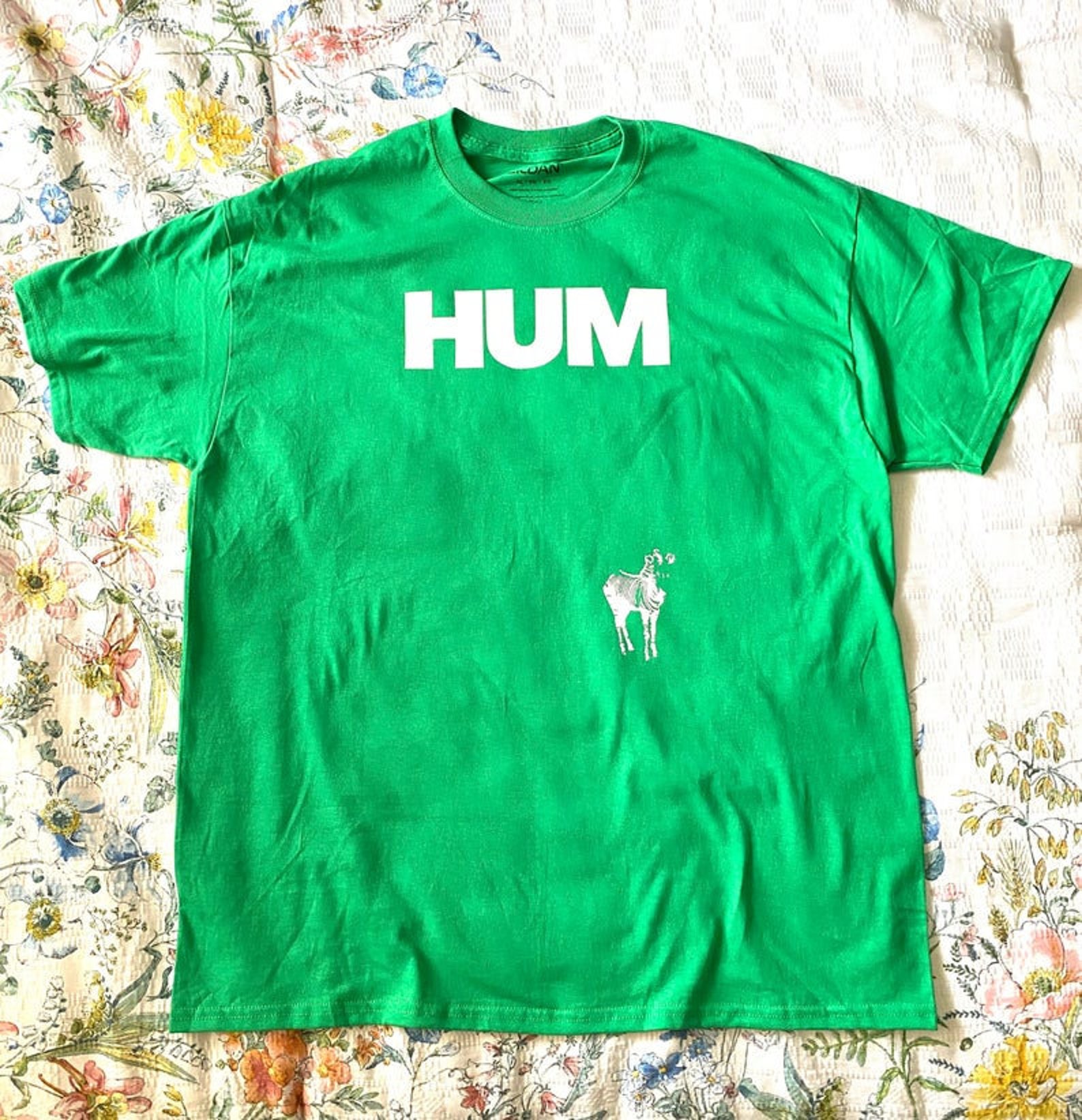Hum Band Youd Prefer An Astronaut Zebra T-Shirt | Etsy