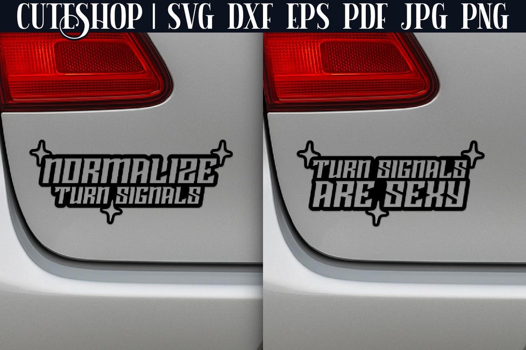 Funny Car Decal SVG - Funny Car Stickers | Bumper Sticker SVG | Car ...