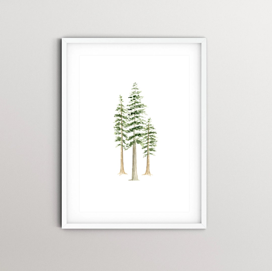 Redwood Trees Watercolor Art Print From an Original, Hand-painted ...
