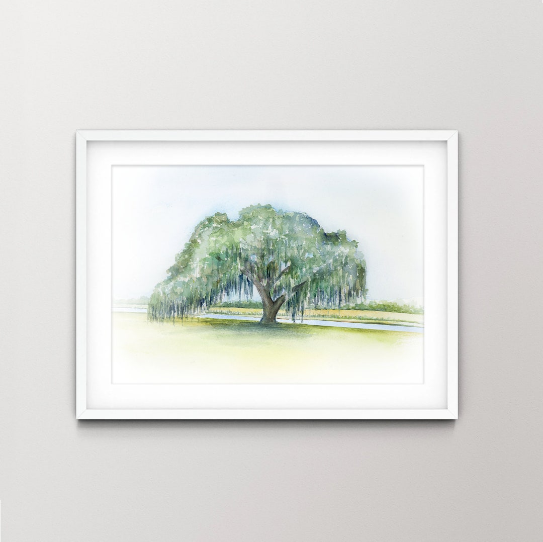 Oak Tree Watercolor Print of an Original Watercolor Painting of a Live ...