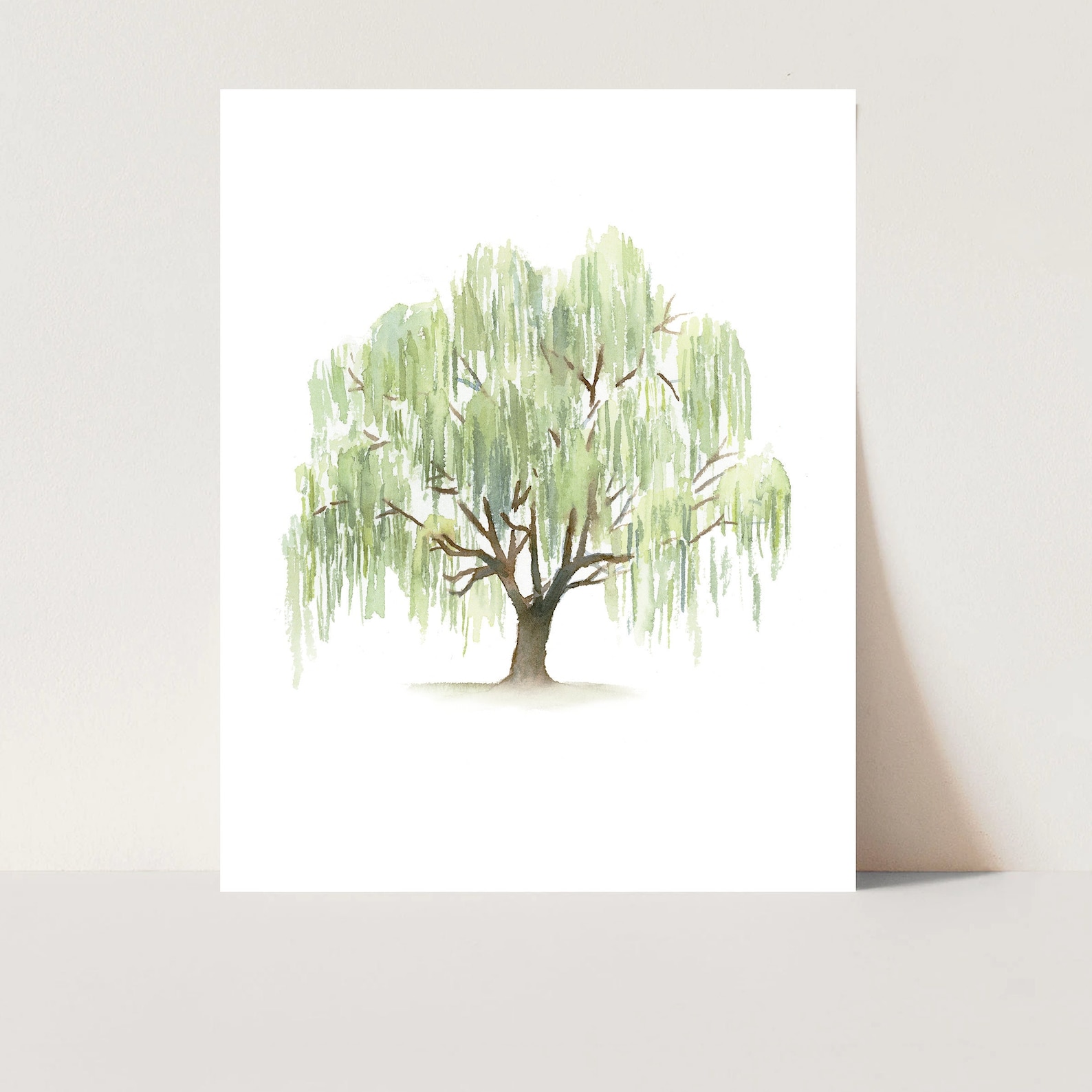 Willow Tree Watercolor Art Print of a Weeping Willow Tree on - Etsy