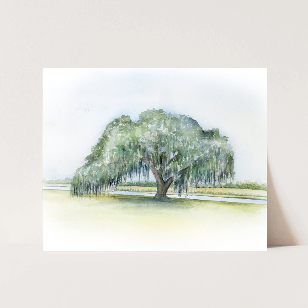 Oak Tree Watercolor Print of an Original Watercolor Painting - Etsy