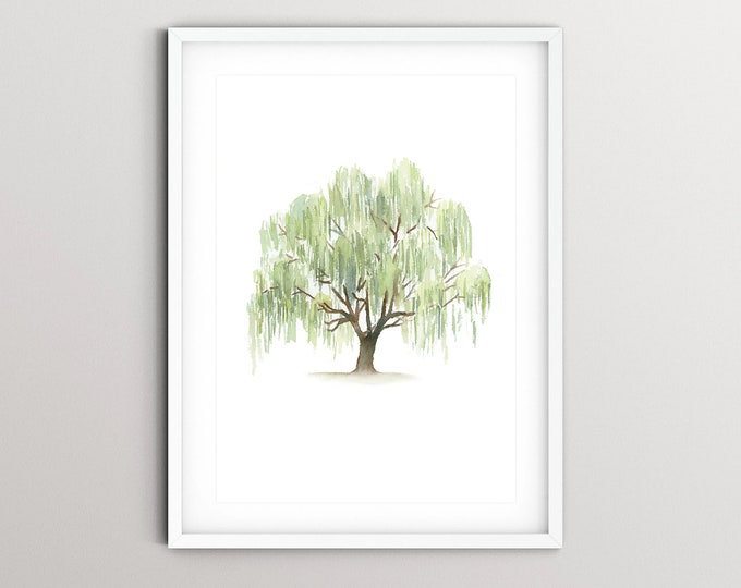 Willow Tree Watercolor Art Print of a Weeping Willow Tree on Willows ...