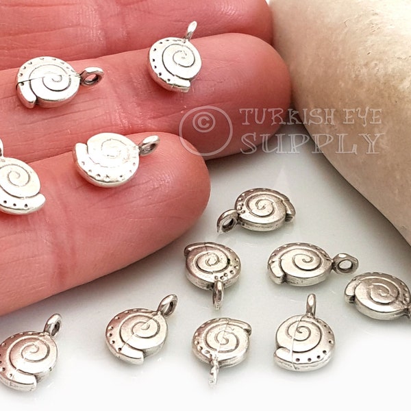 Periwinkle Shell - Etsy