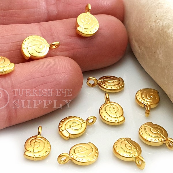 Periwinkle Shell - Etsy