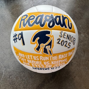 Custom Hand Painted Volleyball Player Coach Senior Gift Painted Sports ...