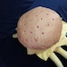 Cheespider From Cloudy With a Chance of Meatballs Plush Toy - Etsy Canada