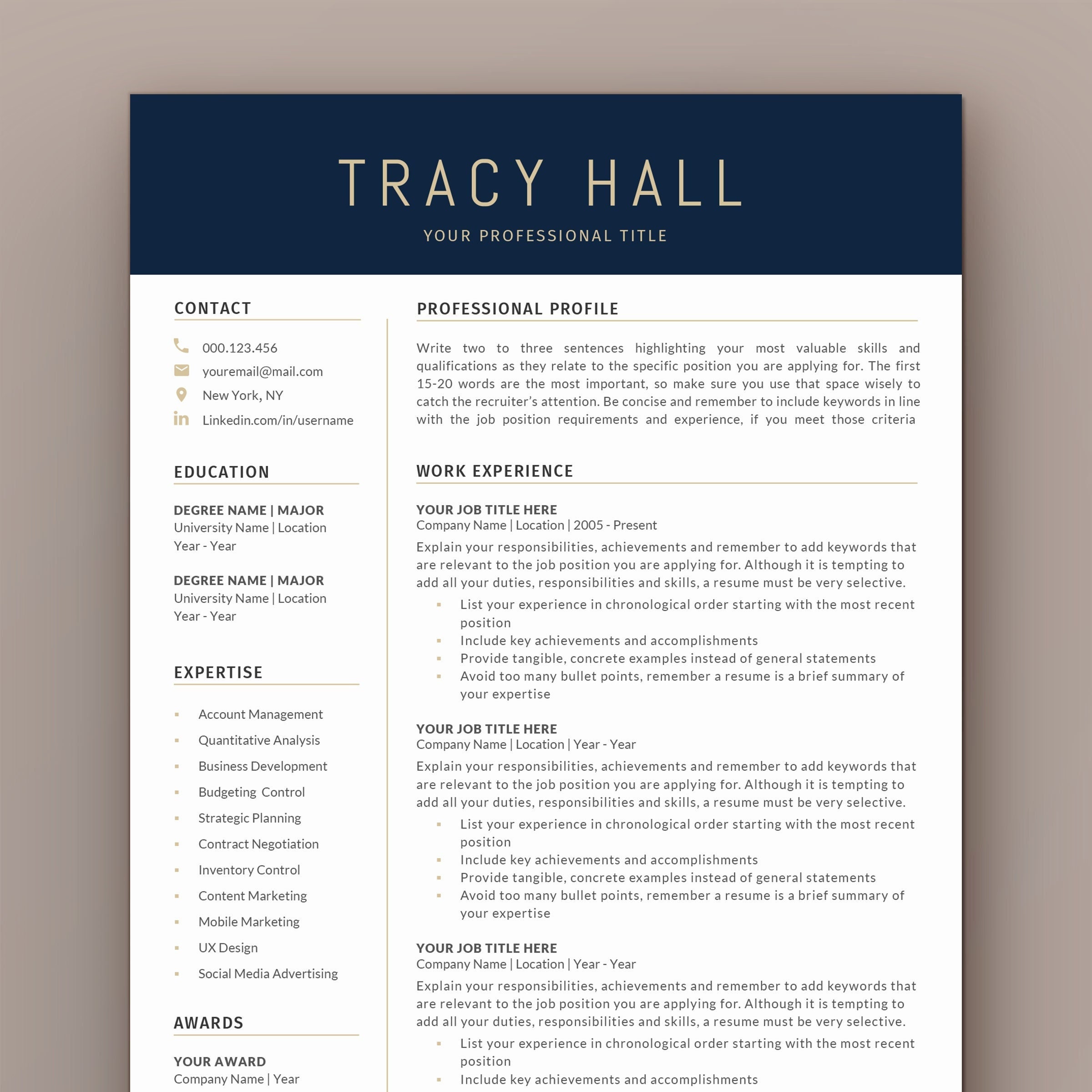 Executive Resume Template Modern C Level Resume Template For Word CEO 