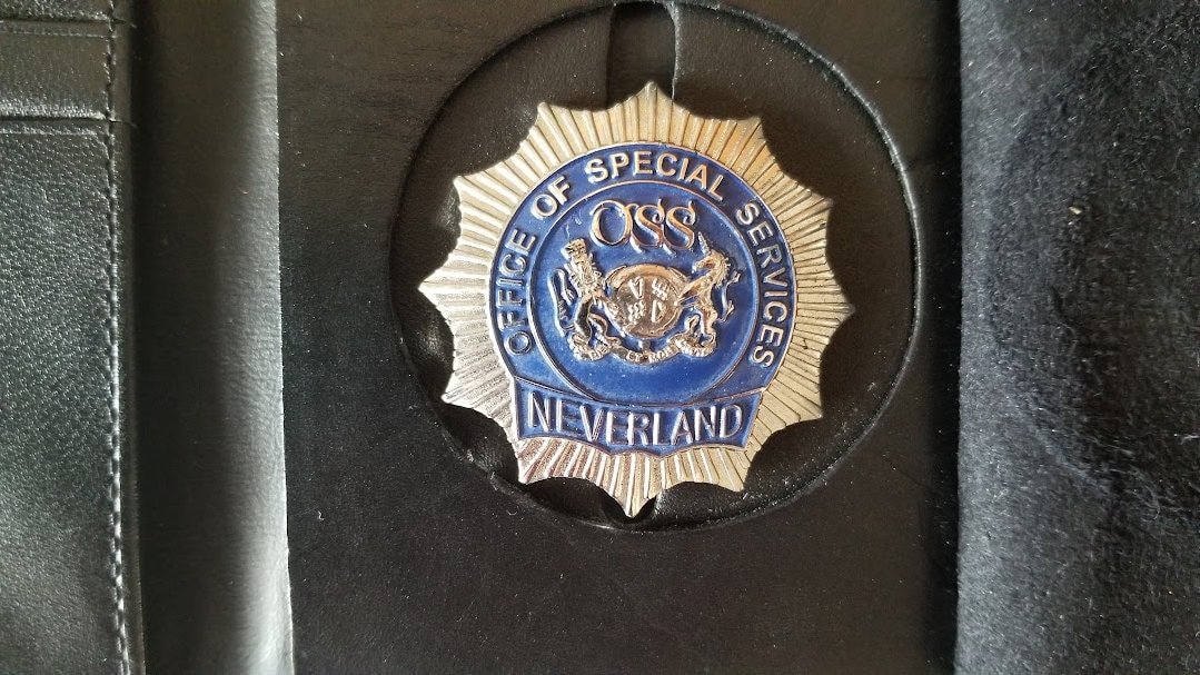 Michael Jackson Original Complete Set of Neverland OSS Security Badges ...