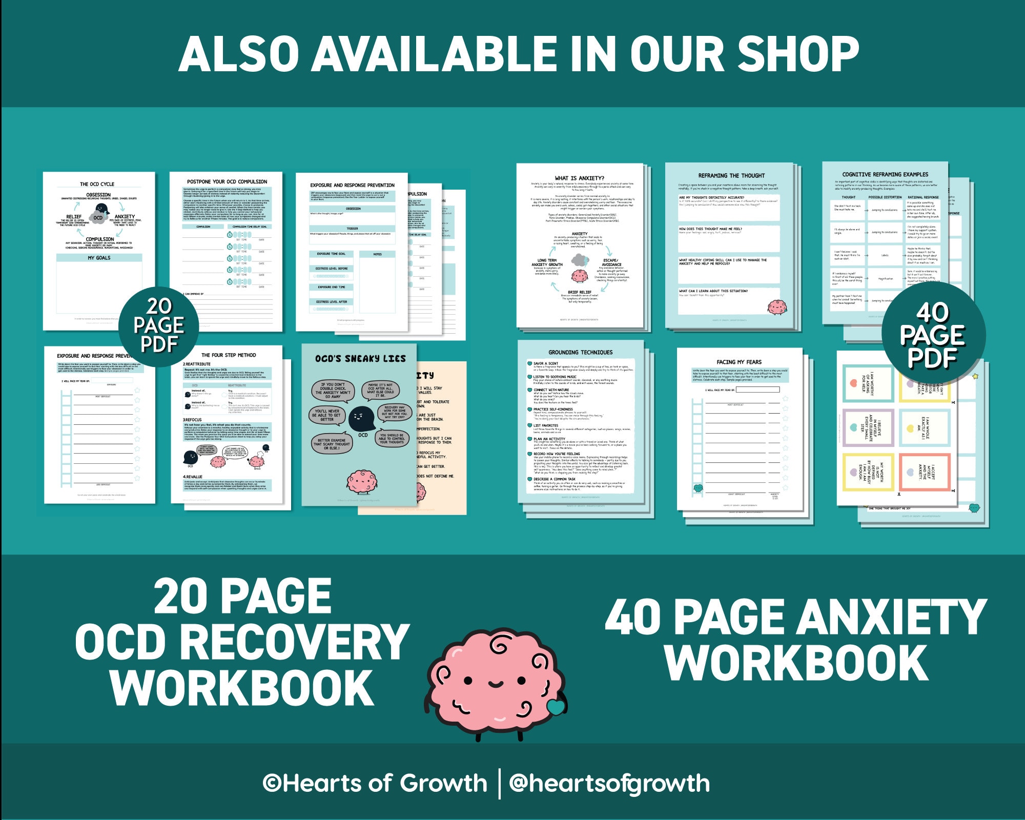 ERP Hierarchy Worksheets | OCD Exposure Therapy (digital Download) - Etsy