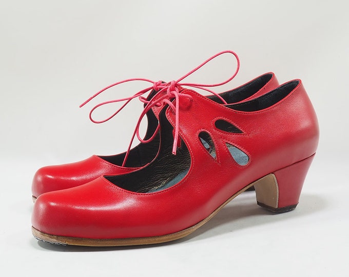 Flamenco Shoes Professionals Brand New Candor Black Leather Suede ...