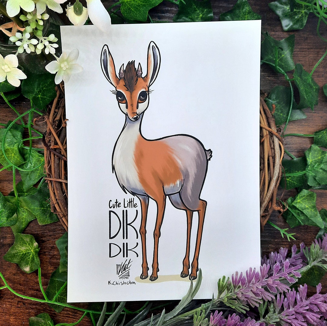 Dik Diks, Dik Dik Print, Antelope Wall Art, A5 Print, Animal ...