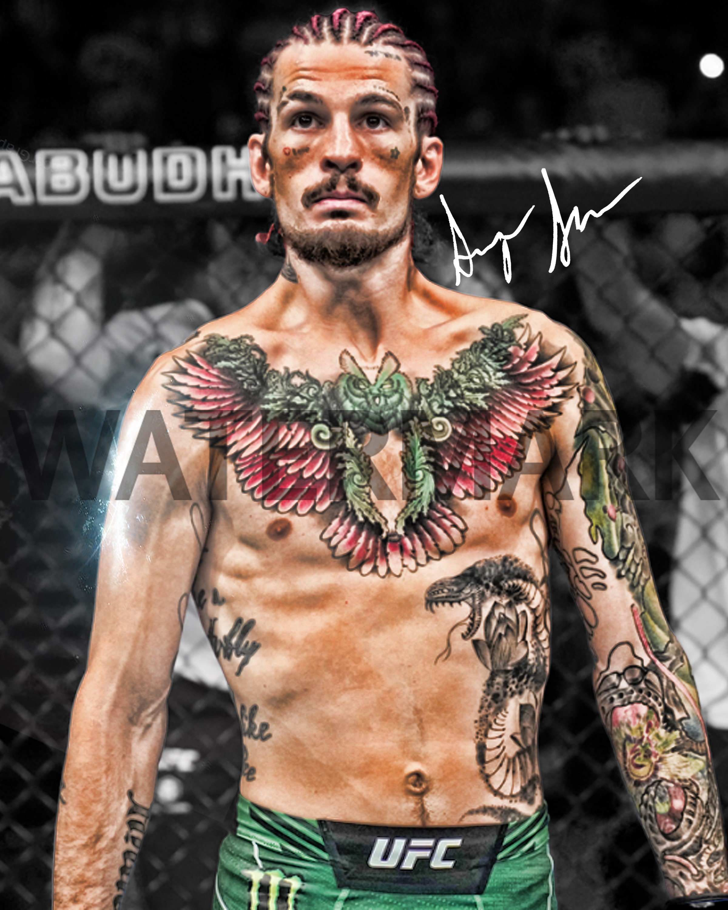 Sugar Sean O'malley UFC Poster Art Autographed 4x6, 5x7, 8x10, 9x12 ...