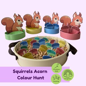 Printable Fall Activity for Preschoolers | Autumn Color Sorting Acorn ...