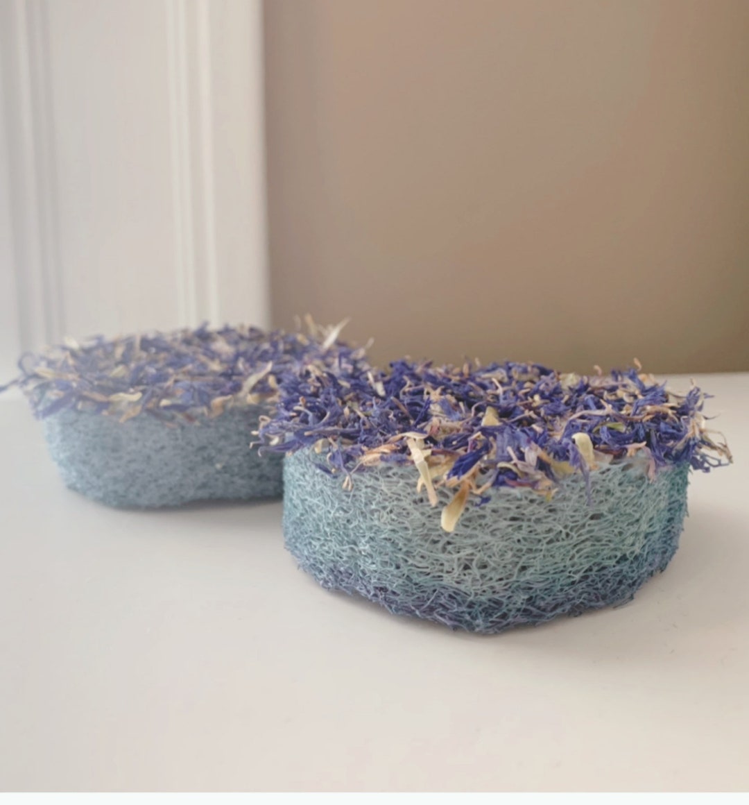 Ombré Blue Loofah - Etsy