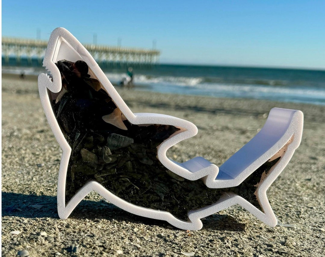 Shark Tooth Shadow Box Shark Teeth Storage Display Box - Etsy