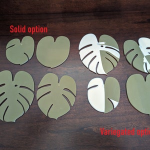 Monstera Plant/coasters |albo Colors | 3D Printed Plant With Magnetic ...