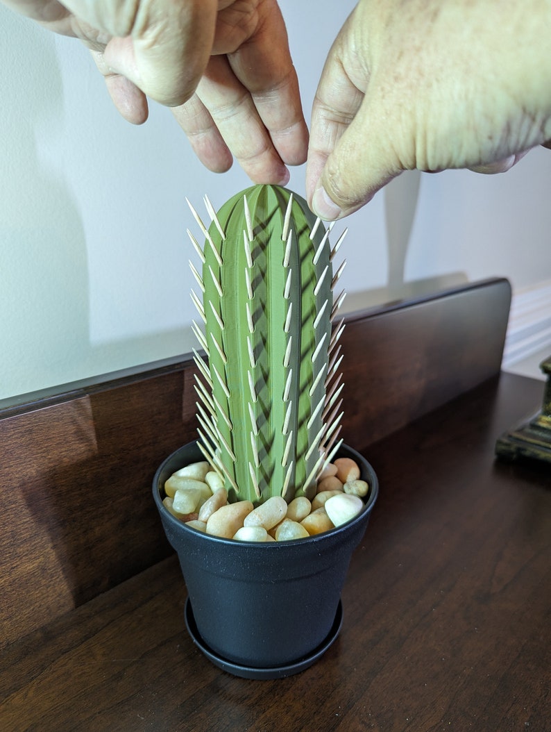 3D Printed Cactus Toothpick Holder: Succulent Plant Decor - Etsy