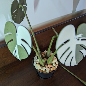 Monstera Plant/coasters |albo Colors | 3D Printed Plant With Magnetic ...