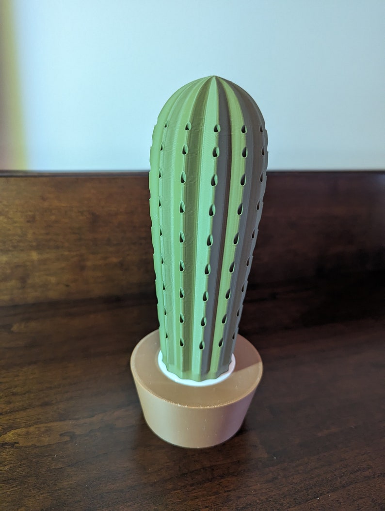 3D Printed Cactus Toothpick Holder: Succulent Plant Decor - Etsy