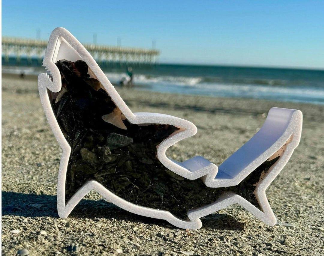 Shark Tooth Shadow Box | Shark Teeth Storage | Display Box | Gift for ...