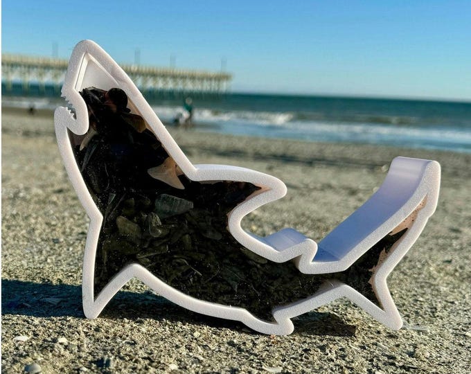 Shark Teeth Shadow Box for Shark Teeth, Small Shells, Fossils, Agates ...