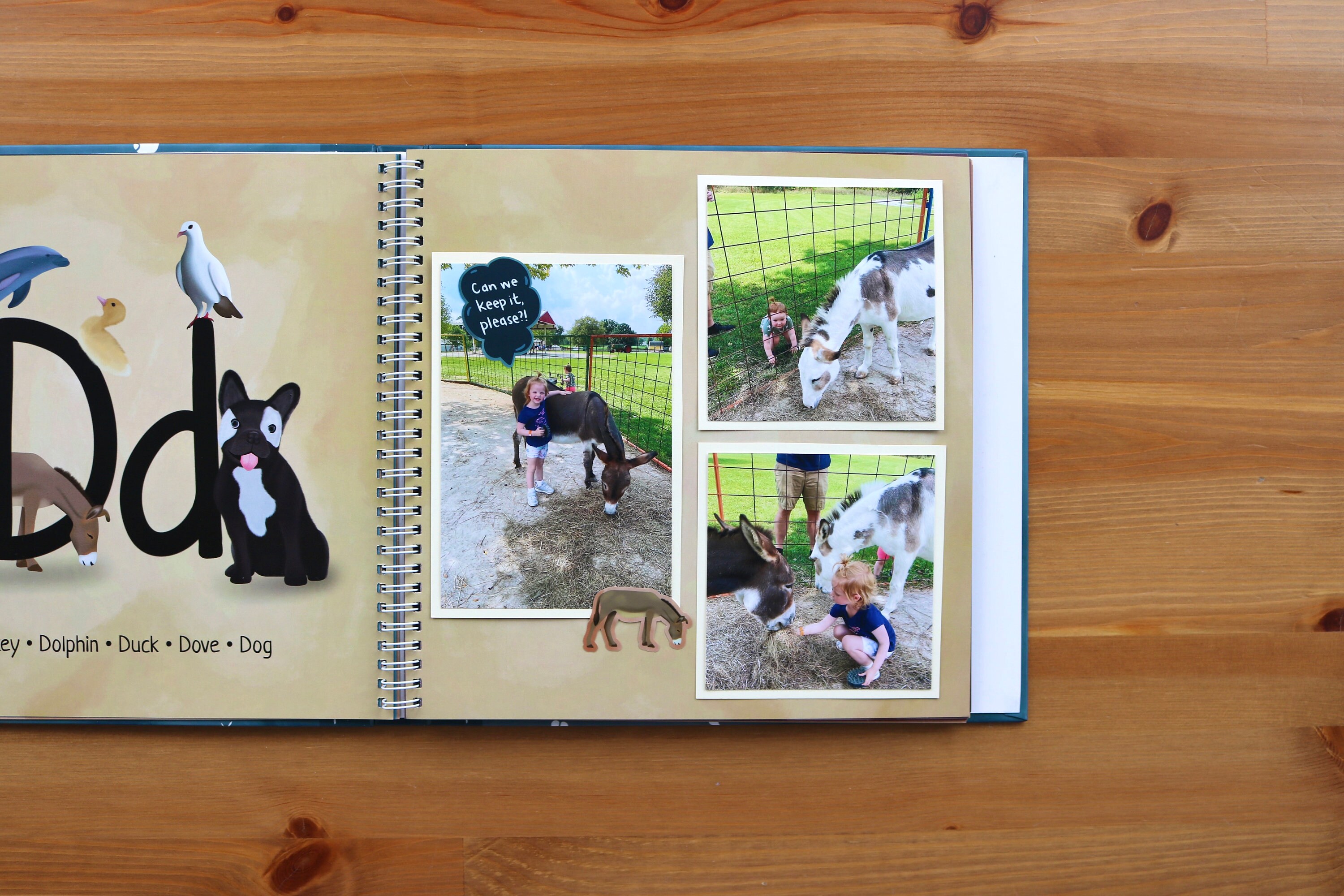 Little Explorer Complete Gift Set | Exploring the Alphabet Scrapbook ...