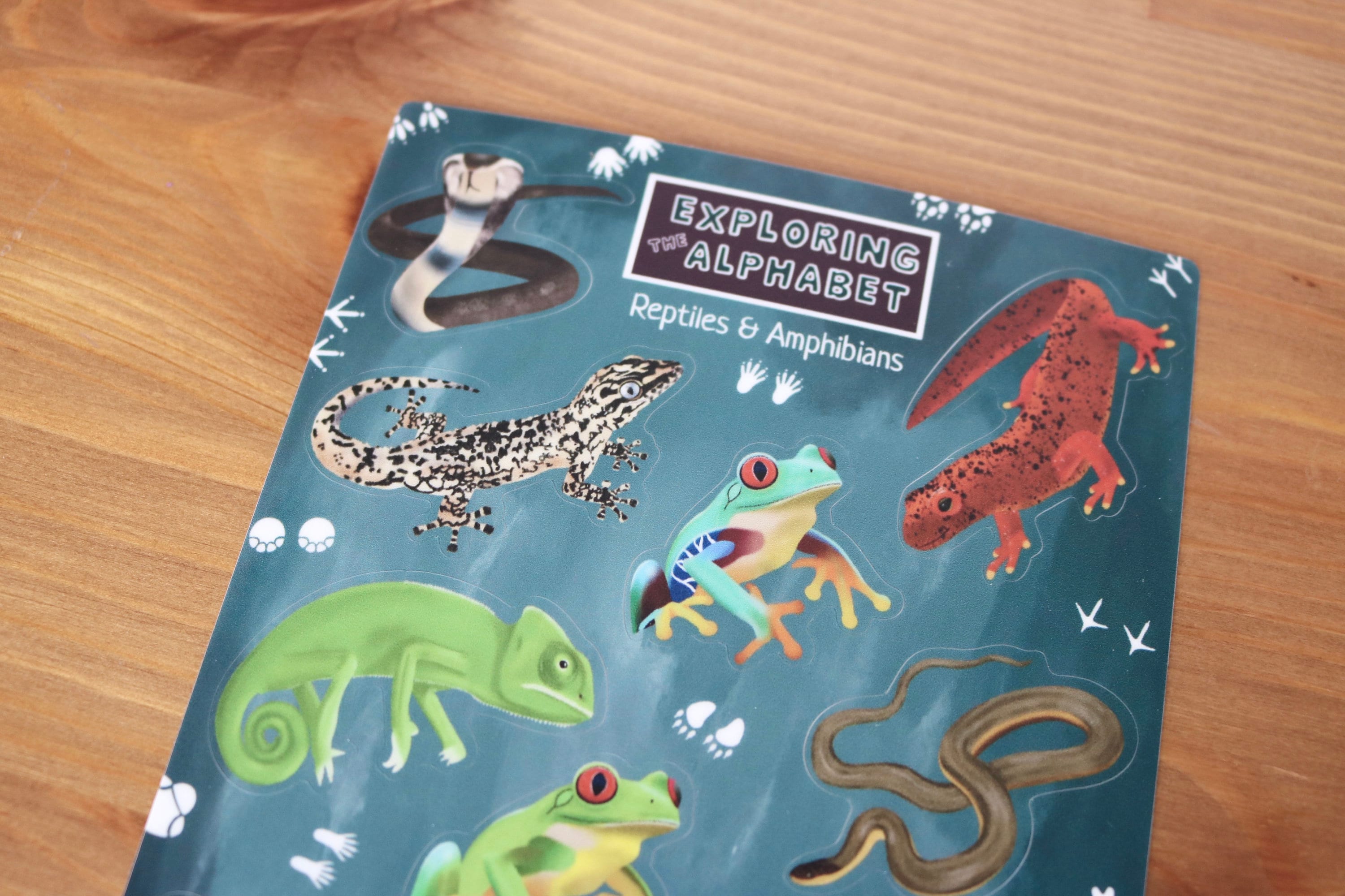 Reptiles & Amphibians Sticker Sheet | Exploring the Alphabet ...