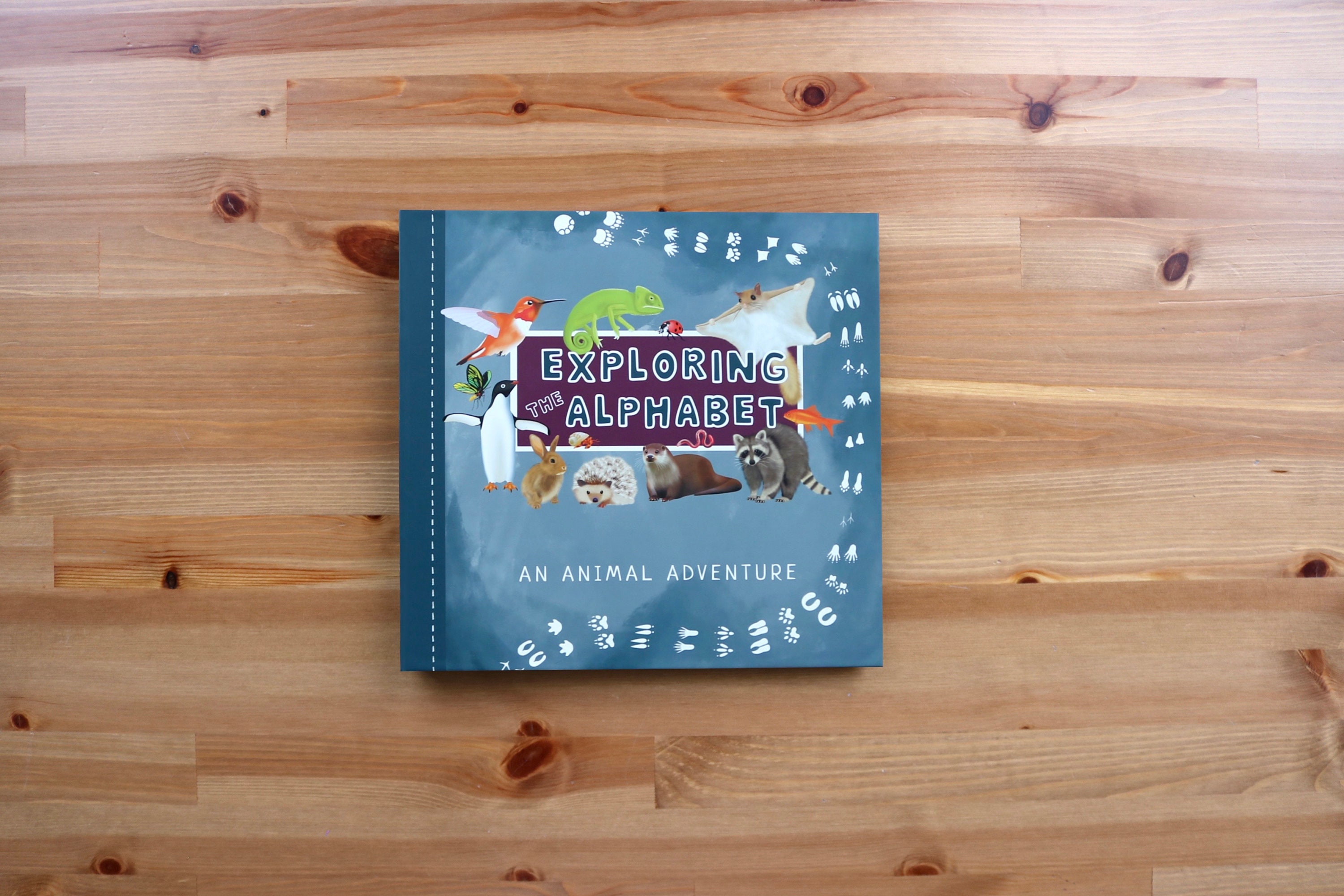 Exploring the Alphabet Scrapbook | Animal Adventure Memory Book Photo ...