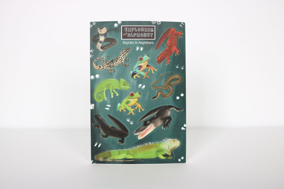 Reptiles & Amphibians Sticker Sheet | Exploring the Alphabet ...